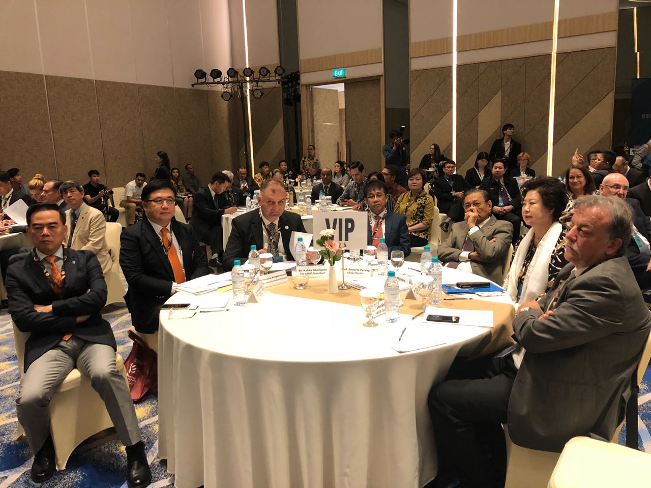 The First AUAP and IAUP International Conference in Indonesia